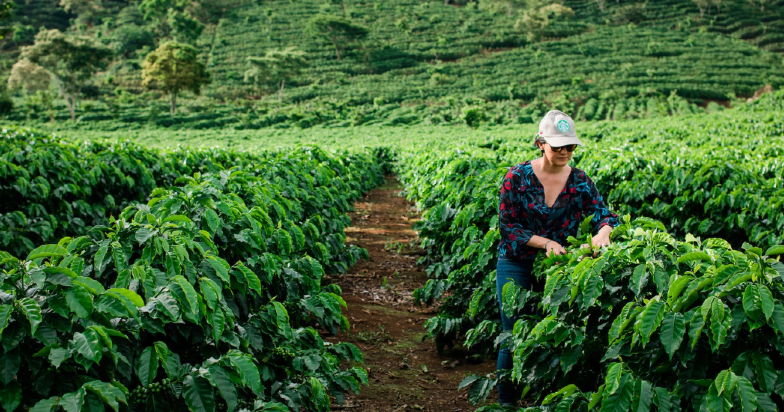 Sustainability | Starbucks